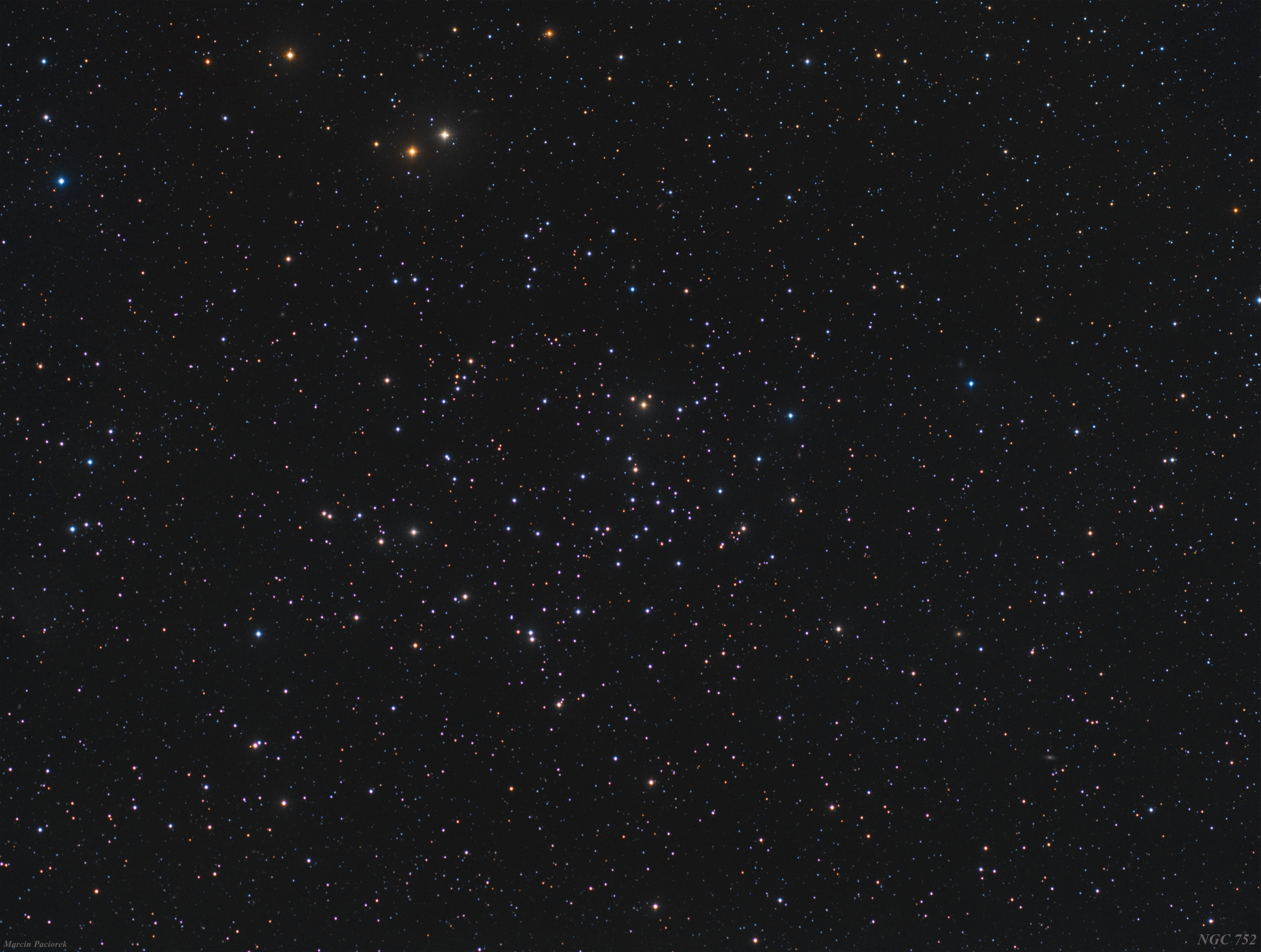 Marcin Paciorek Gallery